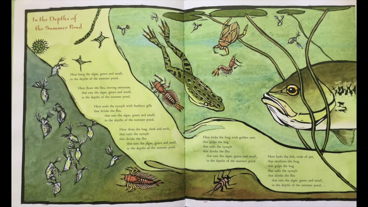 Song of the Water Boatman and Other Pond Poems - YouTube