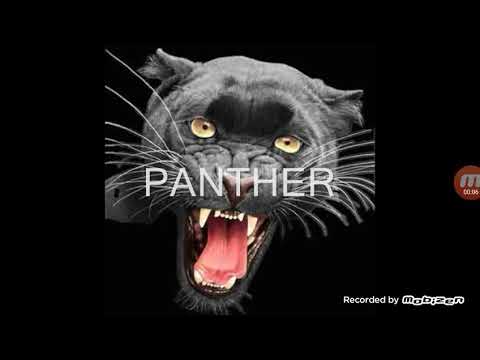 Wolf vs panther finally we have a winner! - YouTube