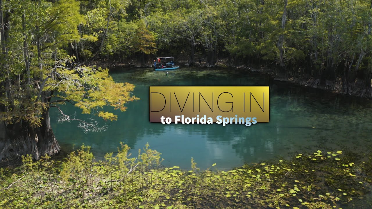 DIVING IN to Florida Springs (ep 1: Holmes Creek )- ShaneOgoeS - YouTube