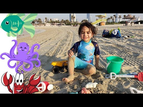 Learn Sea Animal names with Omar! - YouTube