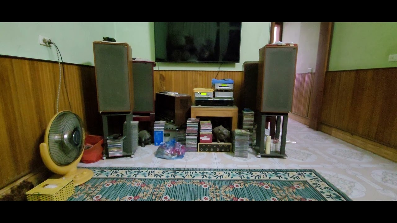 spendor bcll + cyrus + bichjd ngoc - mùa thu trong mưa - YouTube