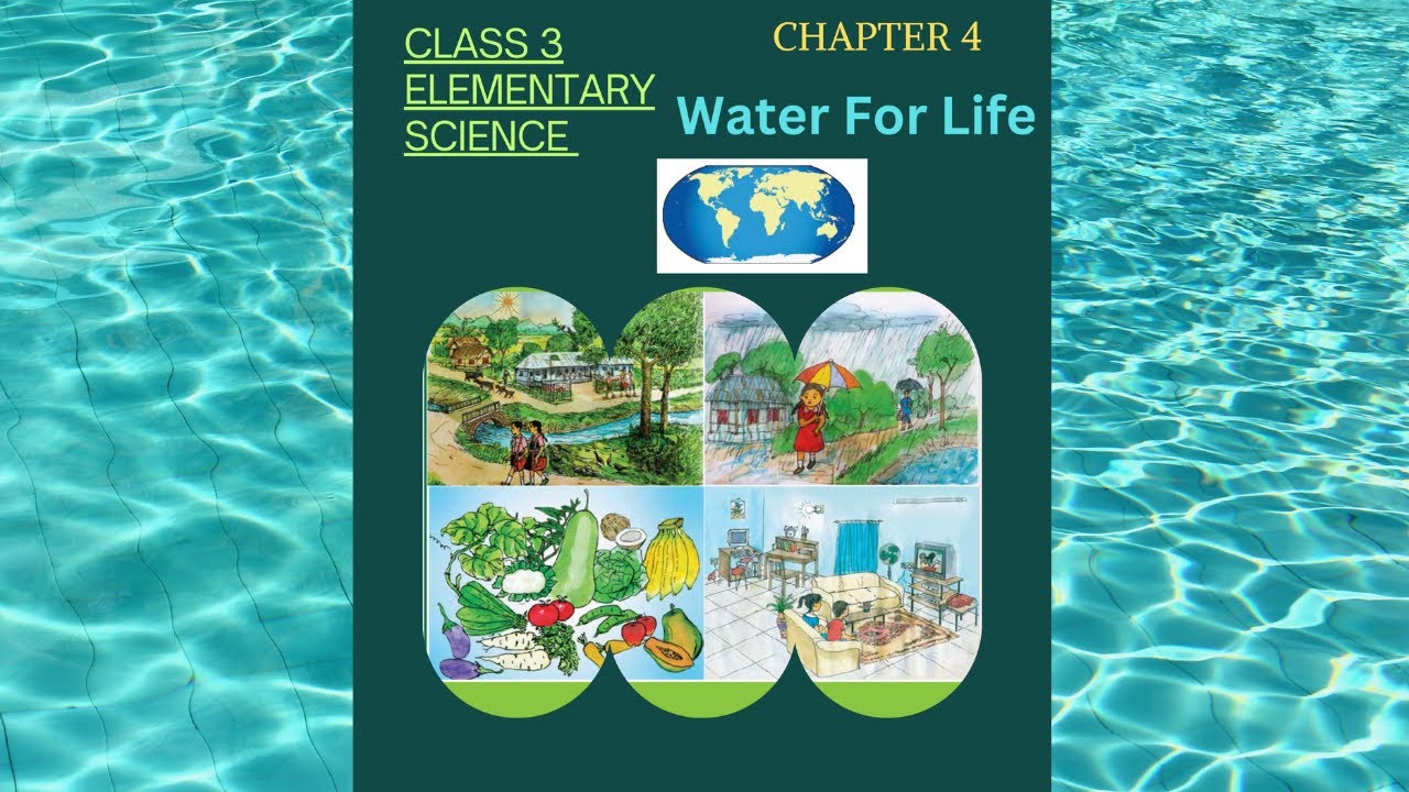 Class 3-Elementary Science-Chapter 4-Video 2 - YouTube