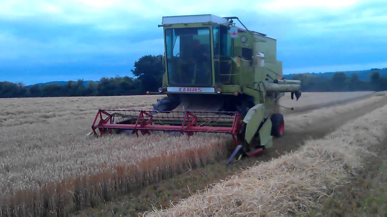 Class Dominator 80 spring barley, 2011 - YouTube