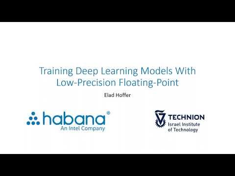 Training Deep Learning models with low-precision floating-point | Dr. Elad Hoffer - YouTube