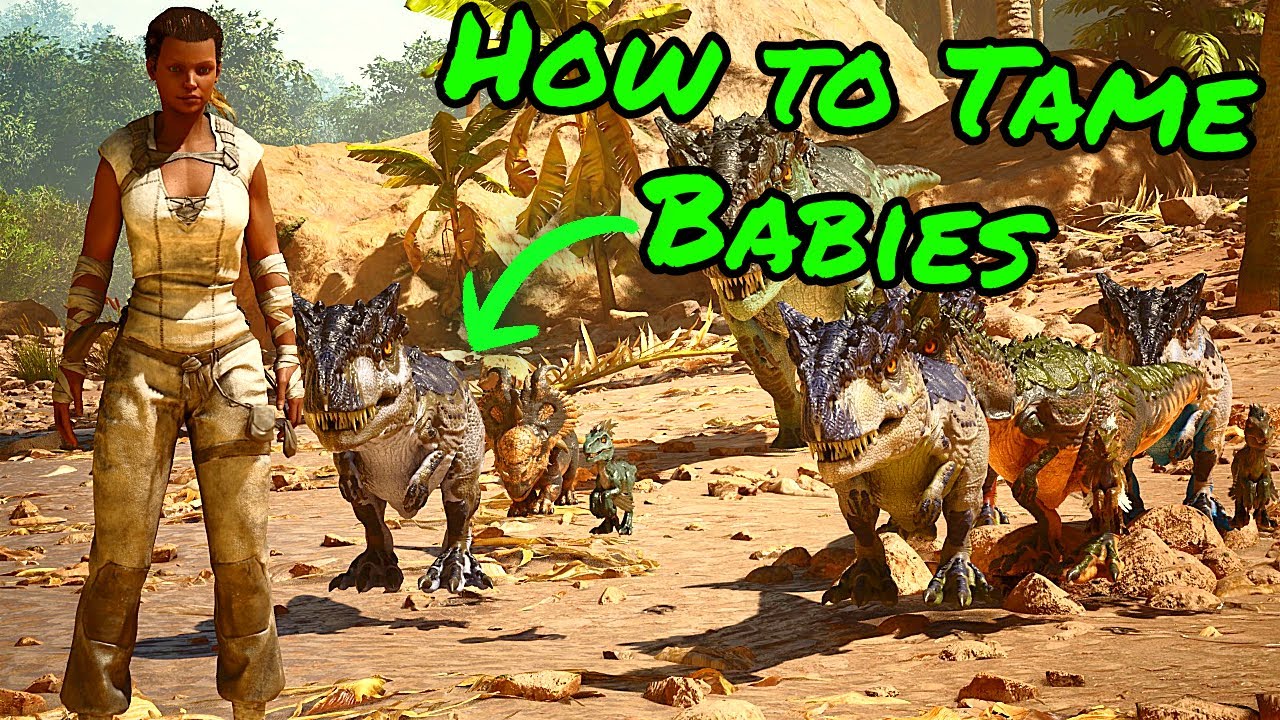 How to Tame BABIES in ARK SURVIVAL ASCENDED! How to tame wild babies ...