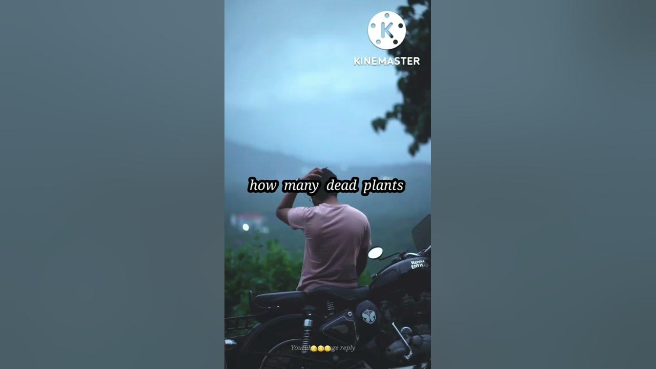 Stop Texting First savage Reply billionaire Thought YouTube stop-texting-first-savage-reply-billionaire-thought-youtube