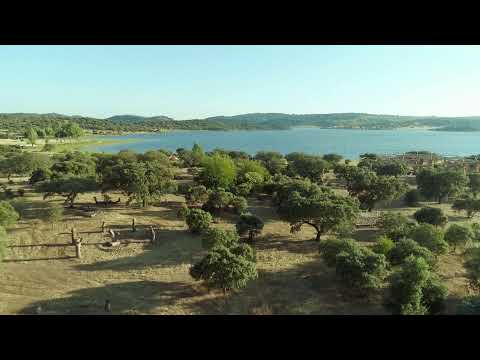 Boom Festival: Boundless @ Boomstream 2021