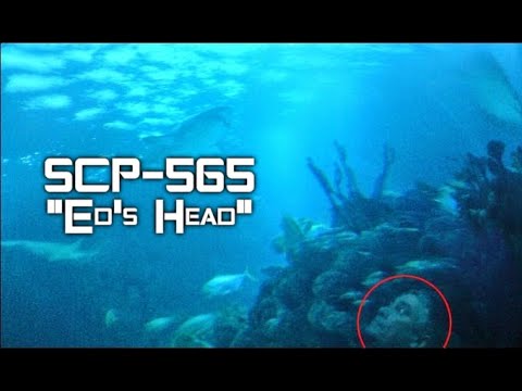 SCP-565 "Ed's Head" - YouTube
