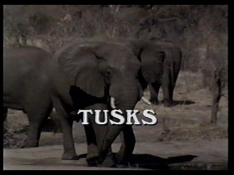 Tusks (1988) Trailer - YouTube