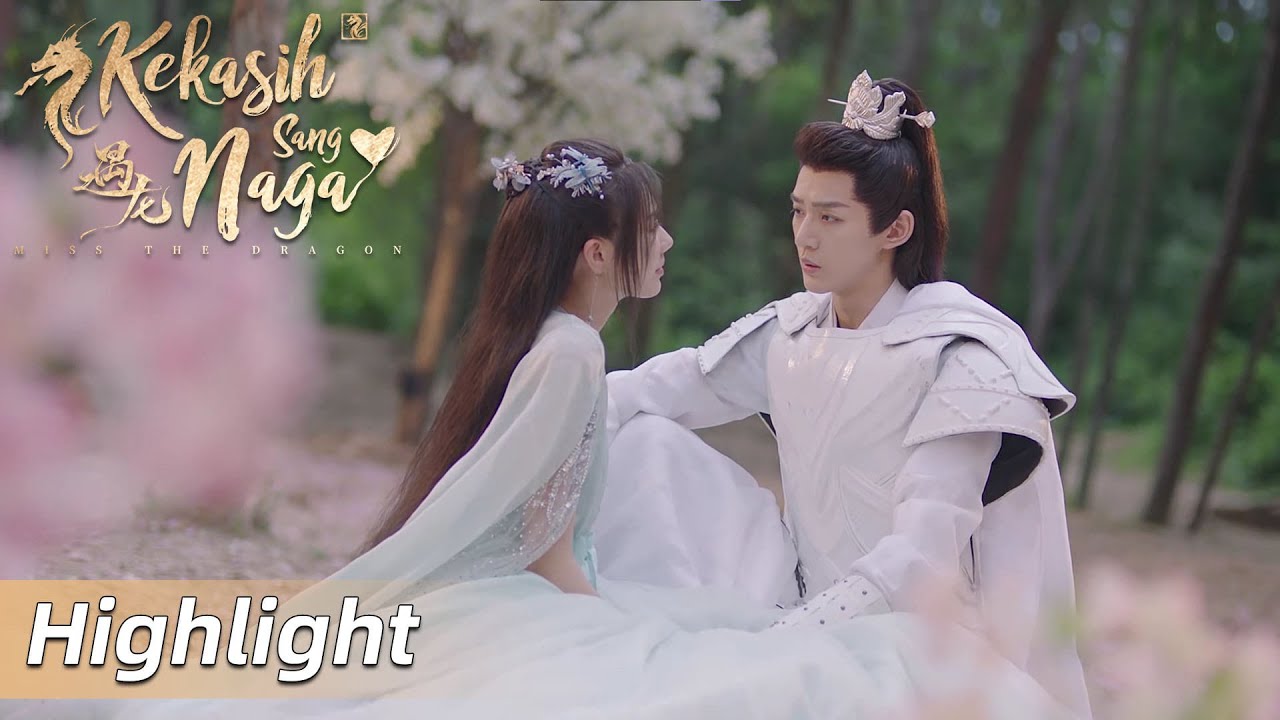 Highlight EP34 Kisah cinta Qingqing dan Qianxun | Miss the Dragon | WeTV【INDO SUB】 - YouTube