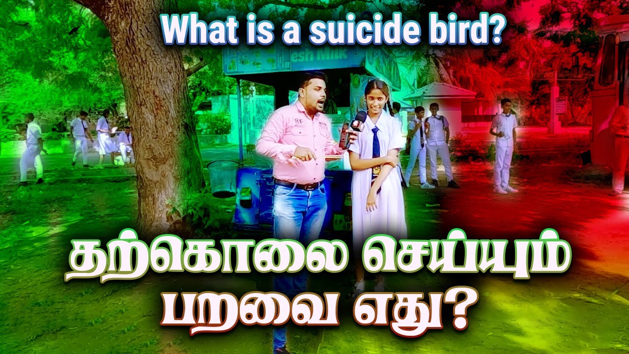 What is a suicide bird? | தற்கொலை செய்யும் பறவை எது? - YouTube