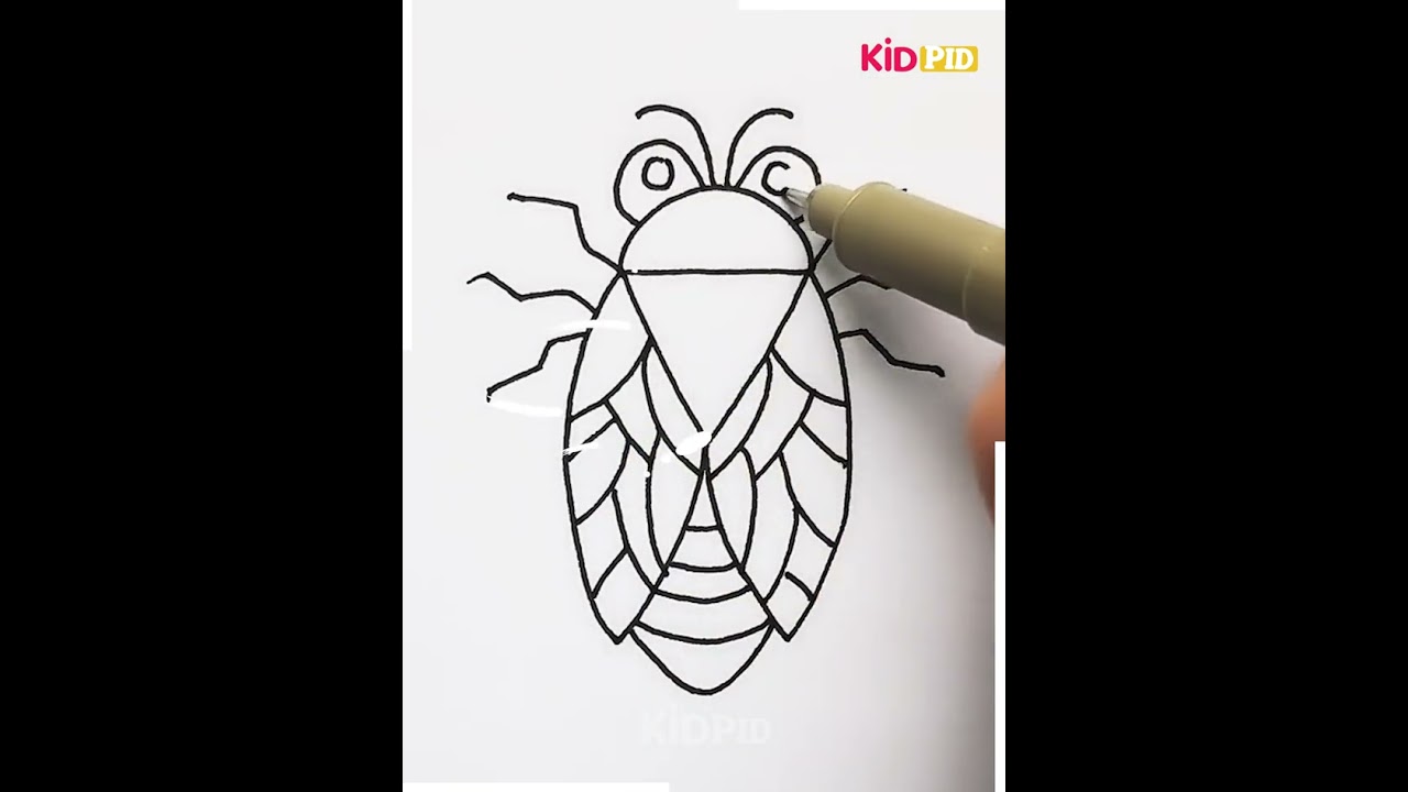 How To Draw A Simple Insect