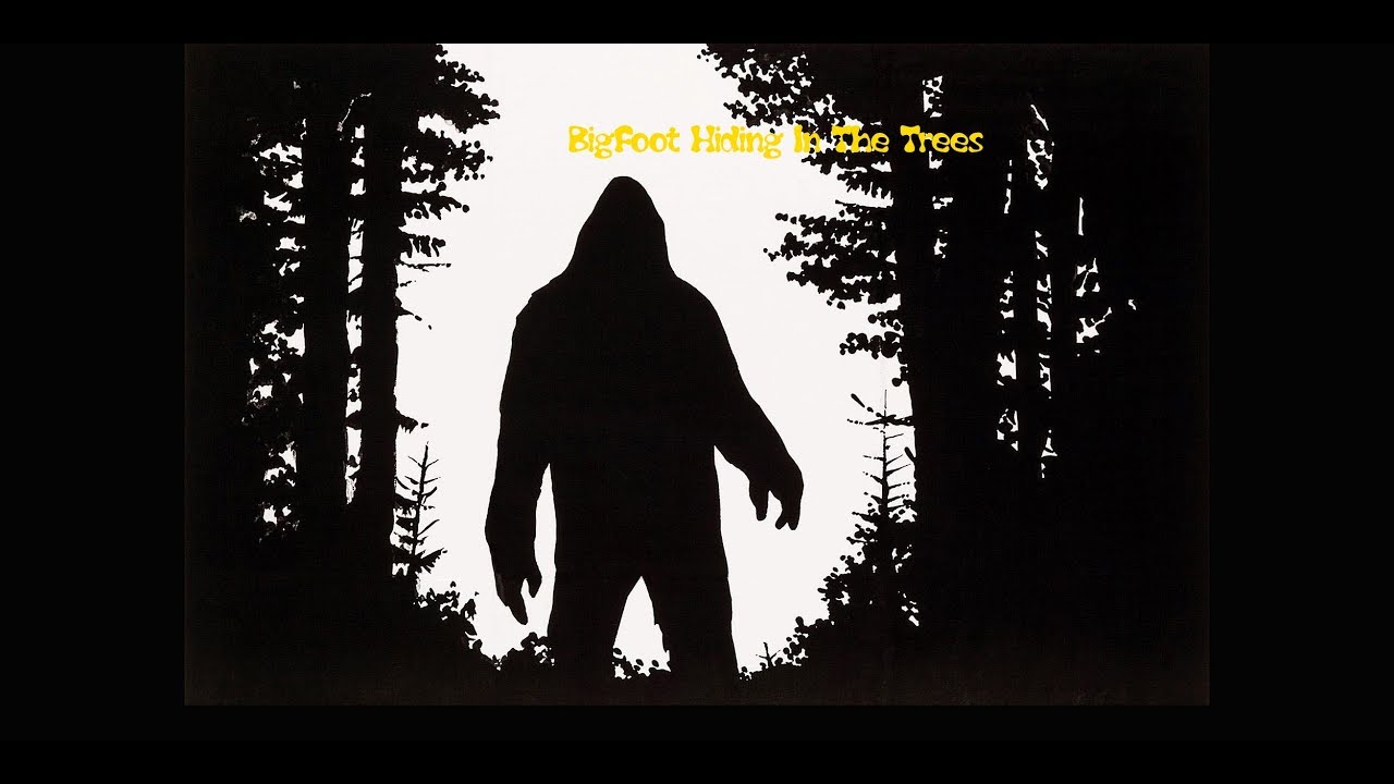 Bigfoot Caught On Camera Hiding In The Trees - YouTube