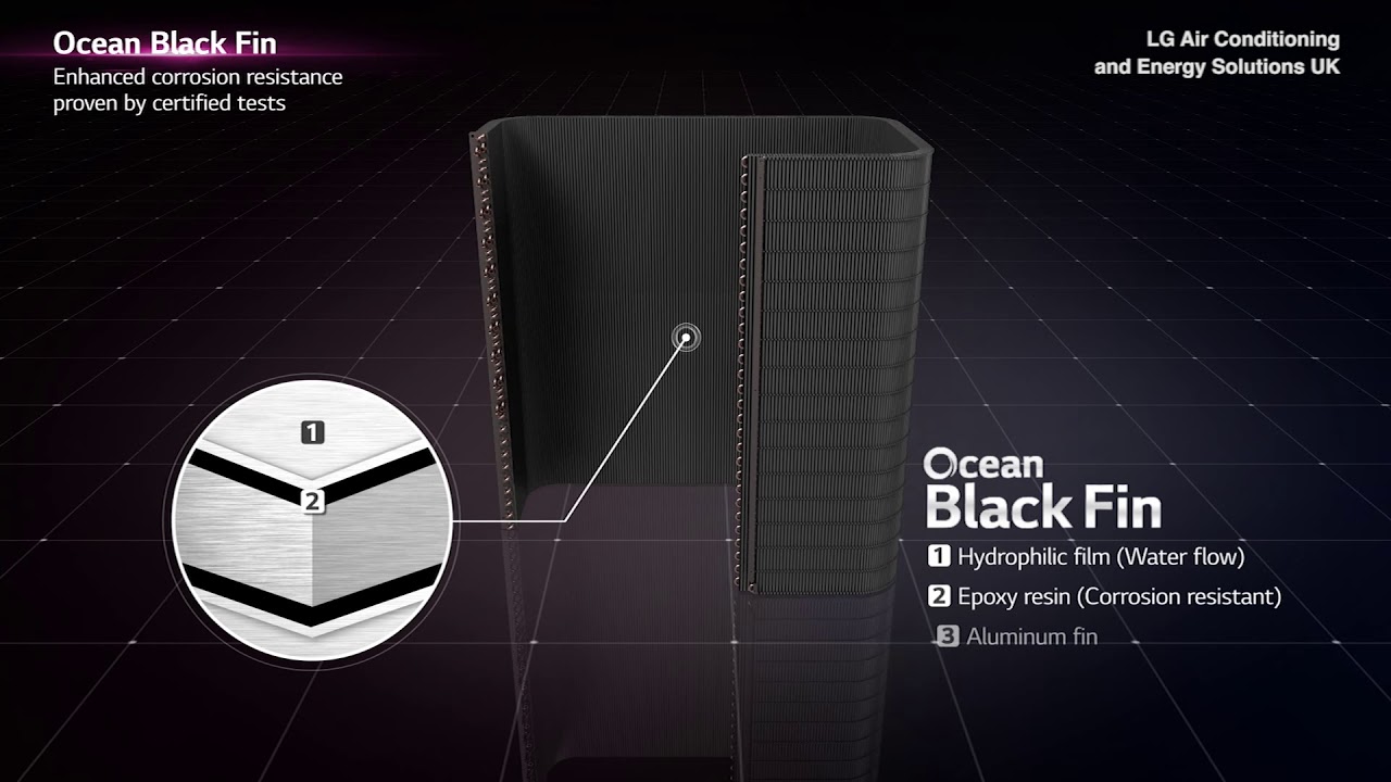 OCEAN BLACK FIN - YouTube