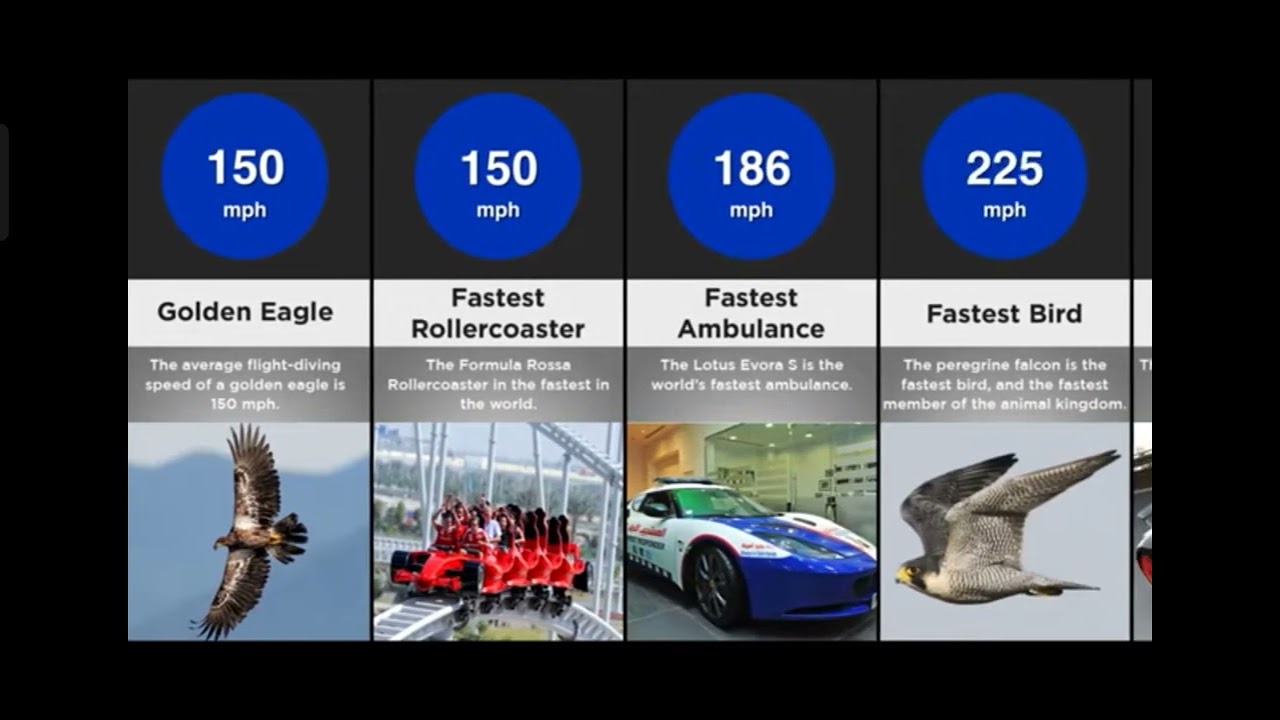 speed comparison: slowest to fastest - YouTube