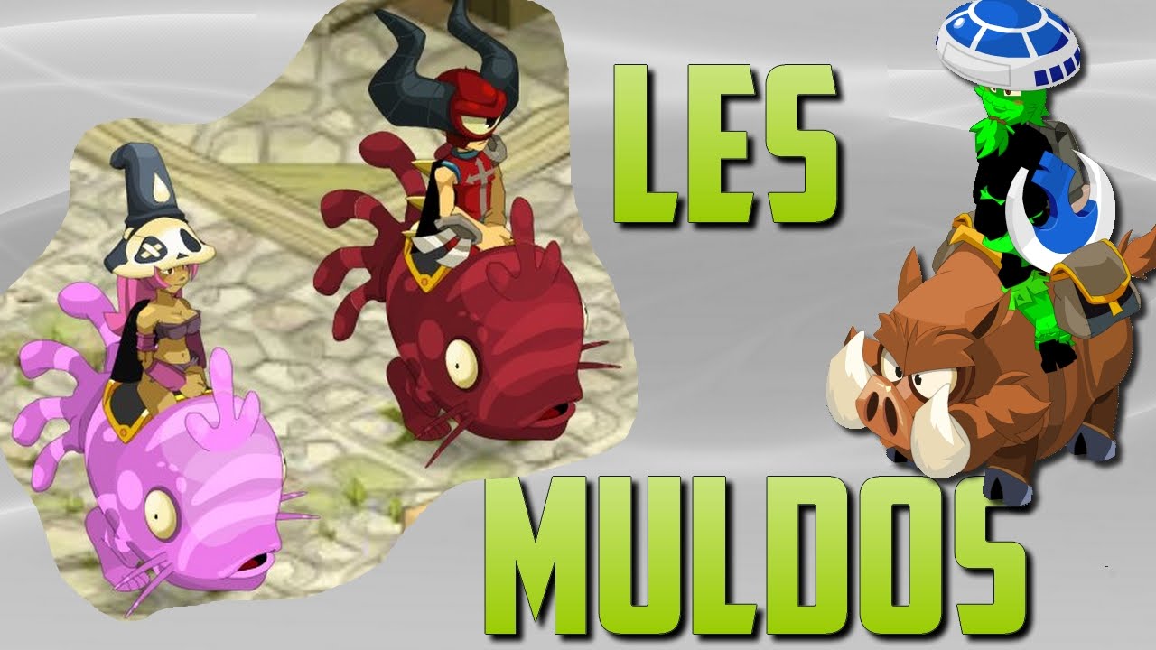 [Dofus] Jeremy-sadi - MAJ 2.35 - Les muldos - Mes enclos - YouTube