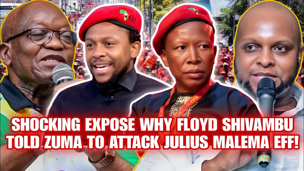SHOCKING EXPOSE WHY FLOYD SHIVAMBU TOLD ZUMA TO ATTACK JULIUS MALEMA ...