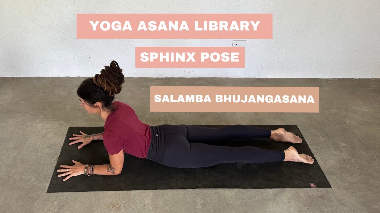 Asana Library: Salamba Bhujangasana/ Sphinx Pose - YouTube