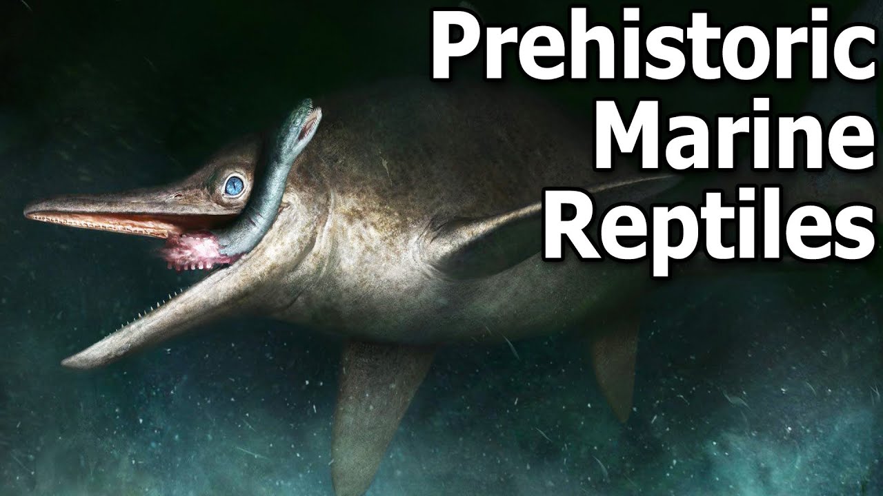 Prehistoric Marine Reptiles