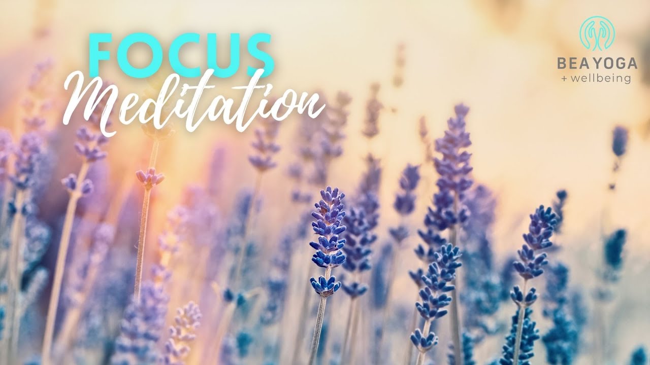 Meditation for Focus and Concentration Guided | 20-Minute Meditation ...