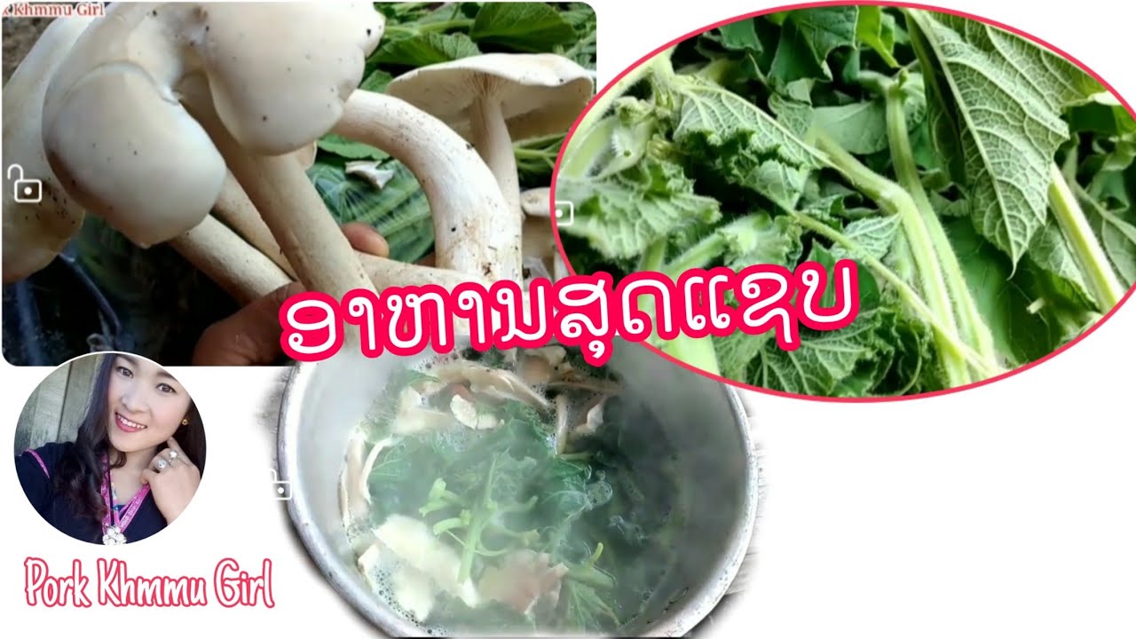 ອາຫານສຸດແຊບຂອງກຶມມຸ | อาหารแสนอร่อยของชาวกืมมุ | Khmu delicious food ...