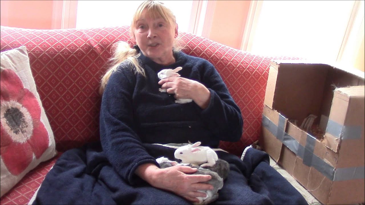 Meet the Mountaineer Baby Flemish Giant Bunny - YouTube