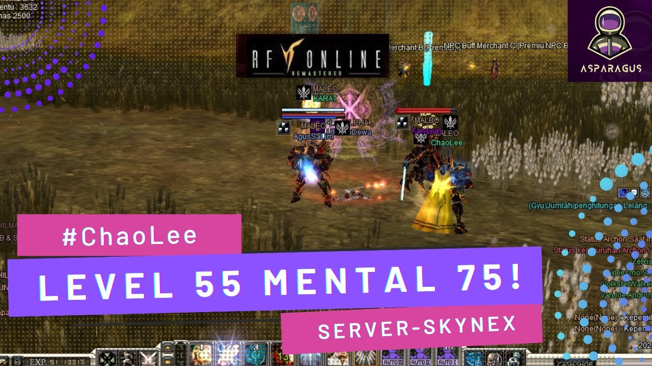 RF ONLINE REMASTERED - ChaoLee LEVEL 55 MENTAL 75! - YouTube