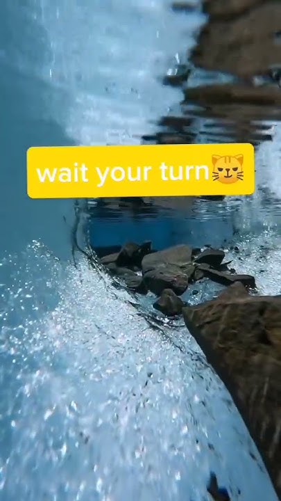 Wait your turn - YouTube