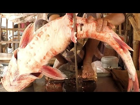 Big Ayr Fish Cutting In Bangladesh | Bangladesh Fish Cutting Skills ...