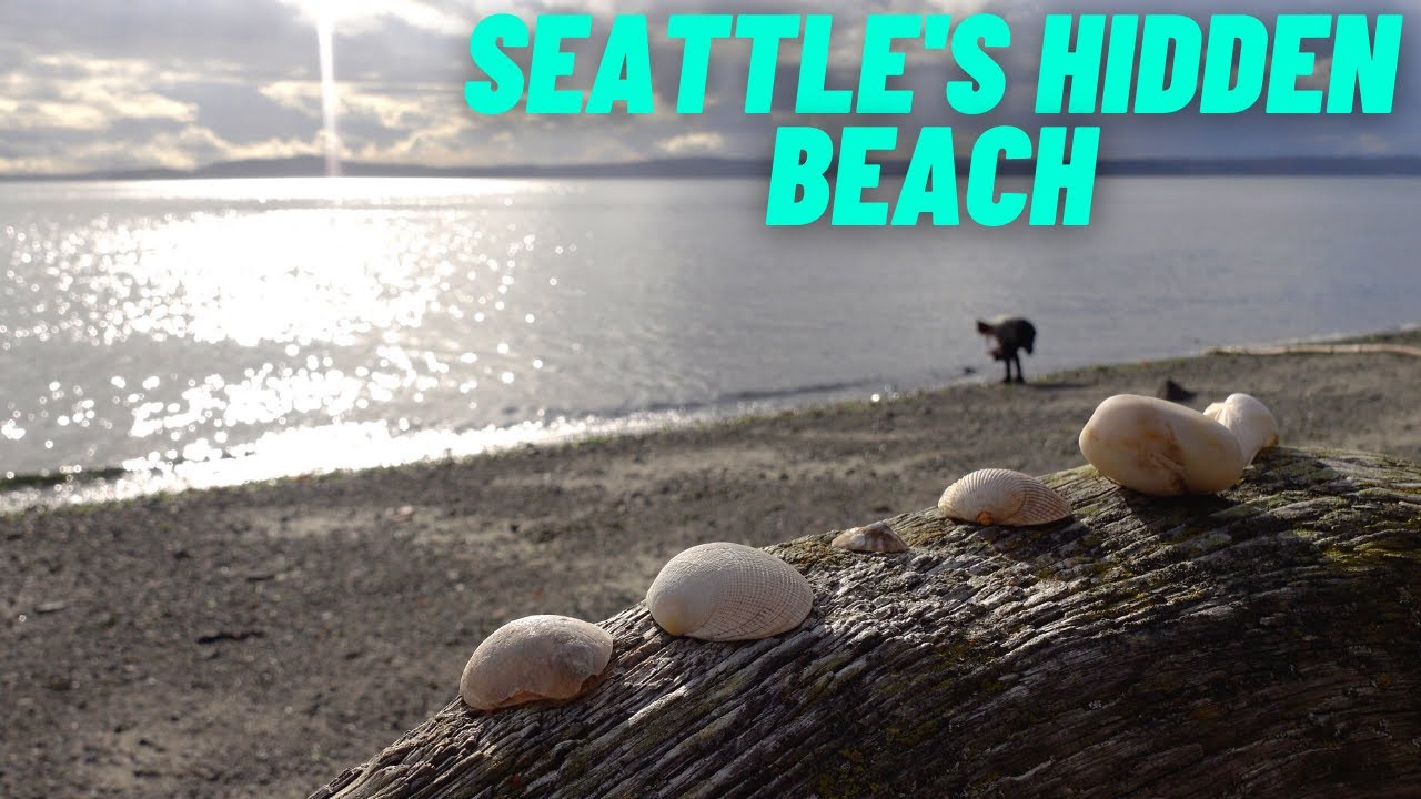 Hidden Seattle Beach Fall 4k Fun! Enjoying the Puget Sound, Magnolia ...