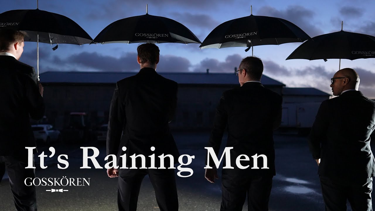 It's Raining Men (a cappella cover) - Gosskören - YouTube