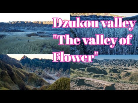 Dzukou valley in Nagaland | Natural beautyful scenery | Most beautiful ...