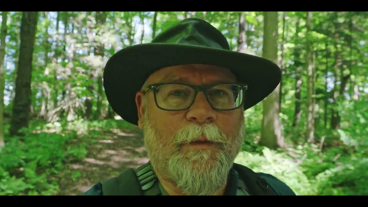 Massive Tree Structure!!! - UCS Episode 63 - YouTube