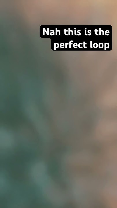 This is the perfect loop #loop #filter #satisfyingloop #funny #endlessloop - YouTube