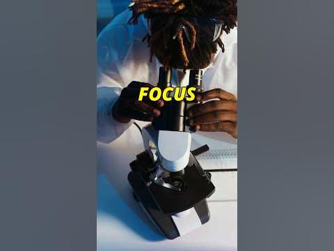 How To Learn Everything Faster - YouTube