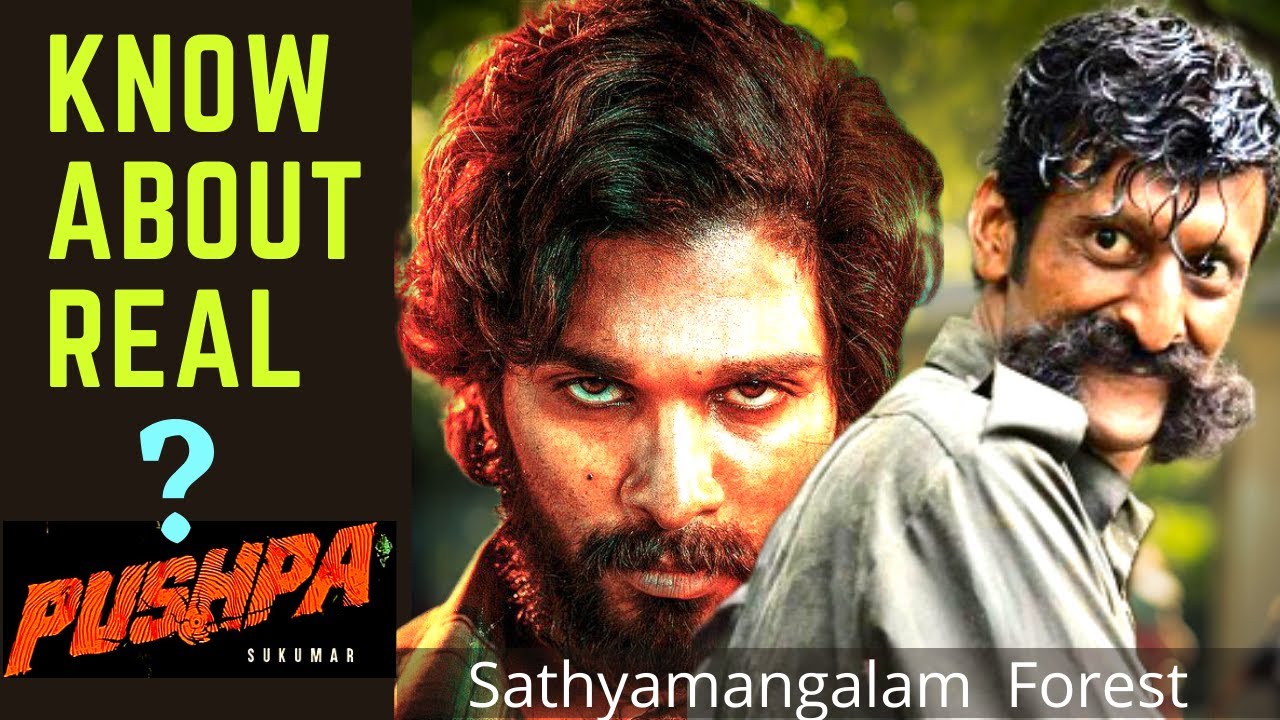 Is Pushpa a Real Story ? Who is the Real Pushpa behind the movie ...