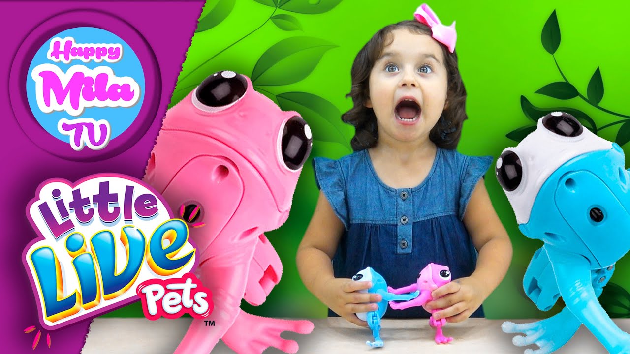 Lil' Frogs Chillow and Lily from Little Live Pets can Hop and Swim in ...