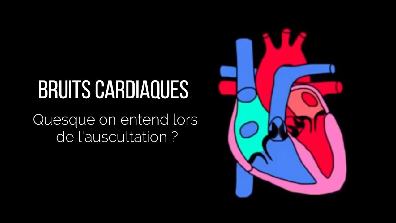 Bruits cardiaques : Qu'est-ce qu'on entend lors de l’auscultation ...