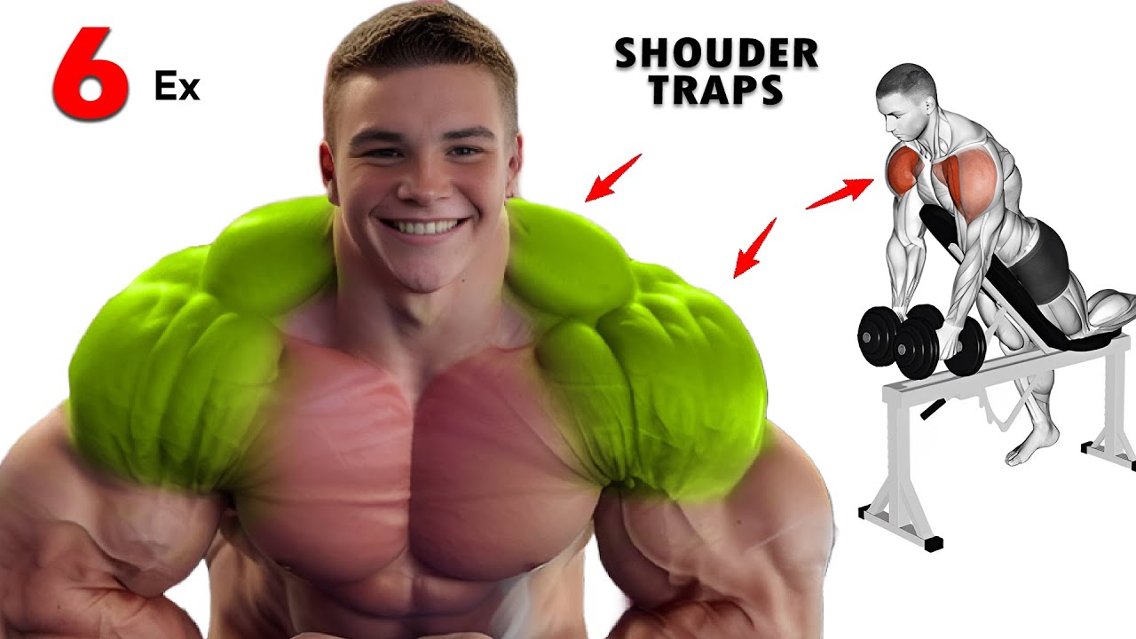 Shoulder and BEST EXERCISE TRAPS WORKOUT 🔥 Wasiq the Fit - YouTube
