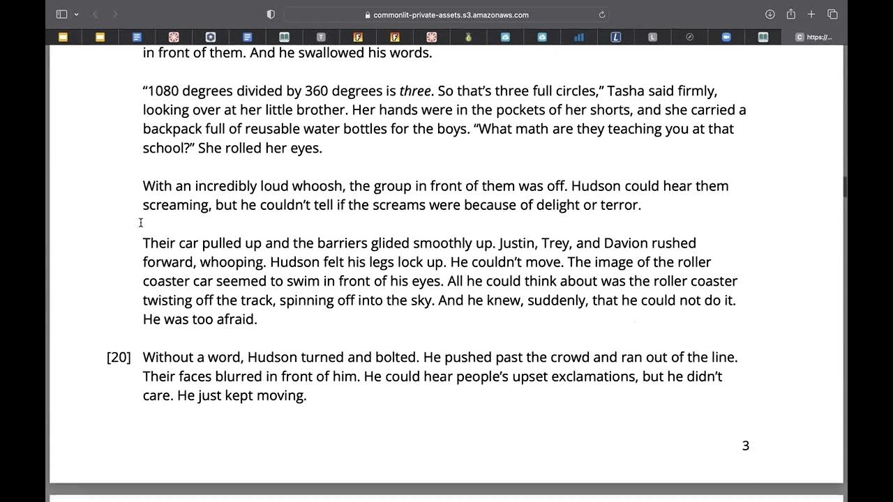 The Roller Coaster by Shelby Ostergaard - YouTube