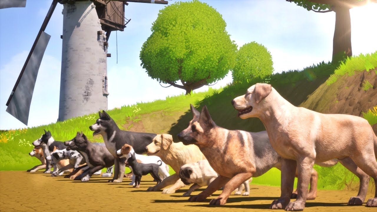 Dogs Club - All Dogs - Dog Sim Online - YouTube
