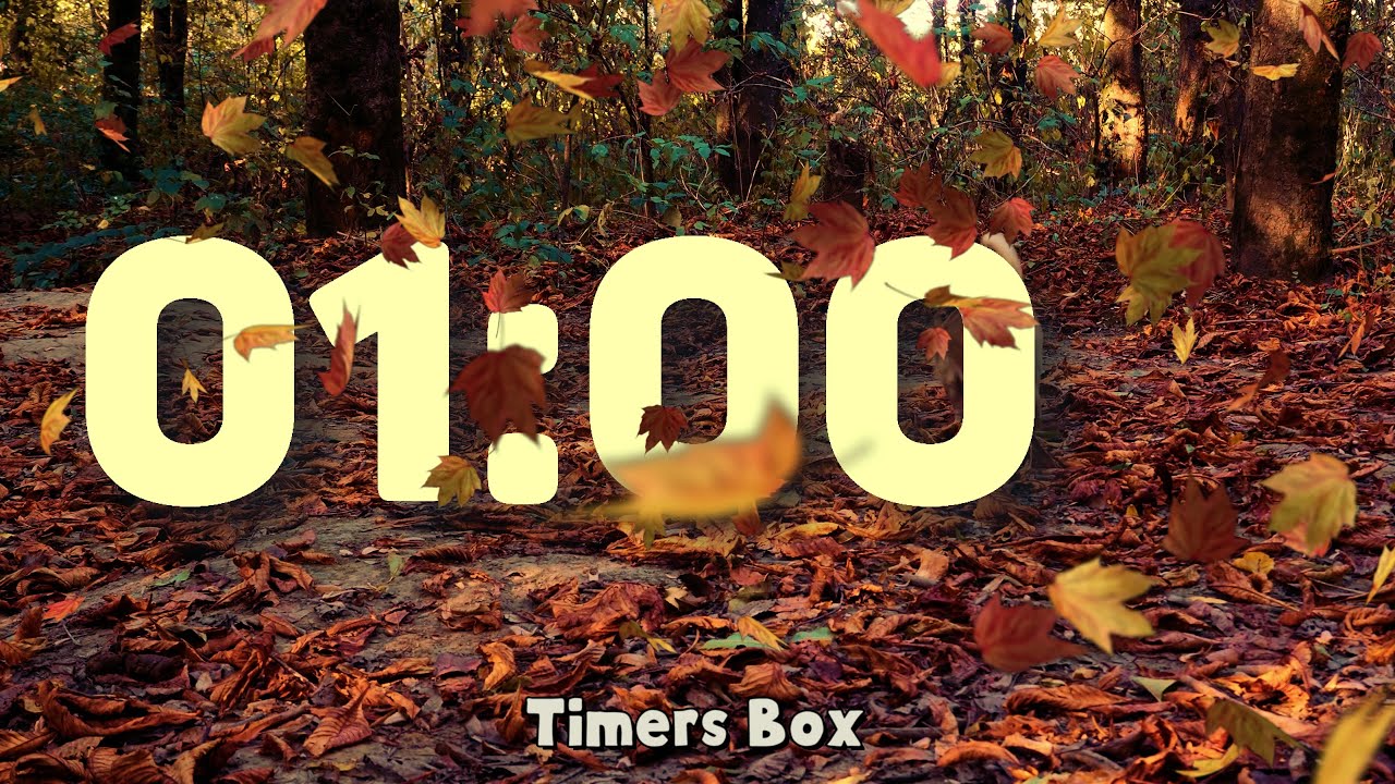 1 Minute Timer 🍂 Autumn Vibes 🍁 Relaxing Music & Alarm - YouTube