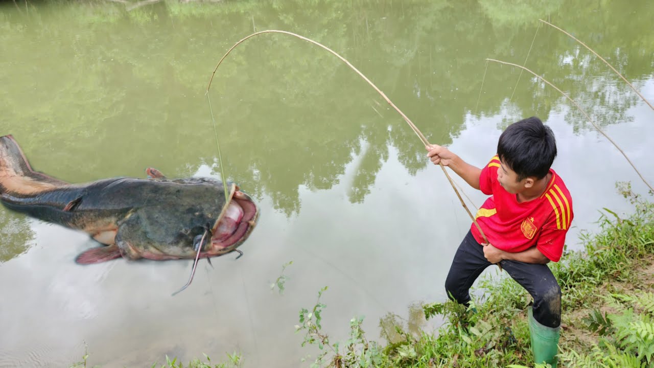 Boy Lam took his fishing rod to the lake and unexpectedly caught a huge ...