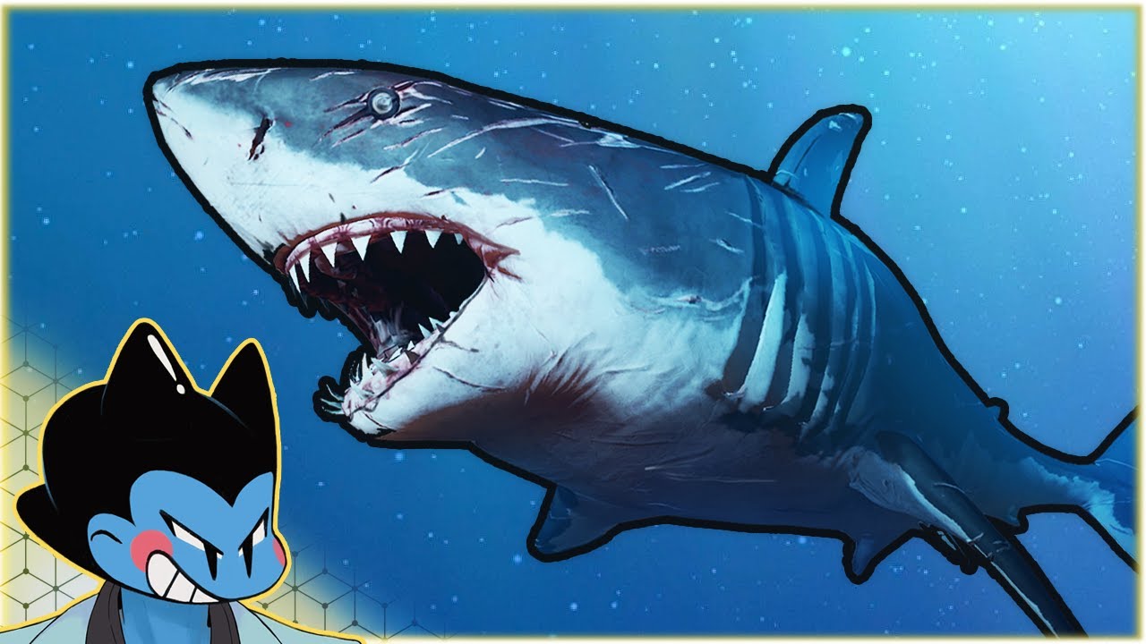 Designing a SHARK Mon for Xotempo! (Pokemon-Like Game Concept Art ...