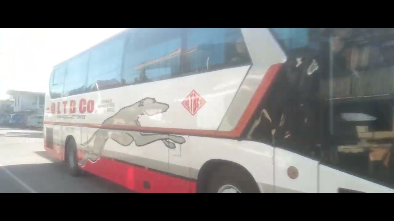 DLTB Co. (GREYHOUND 12K) - YouTube