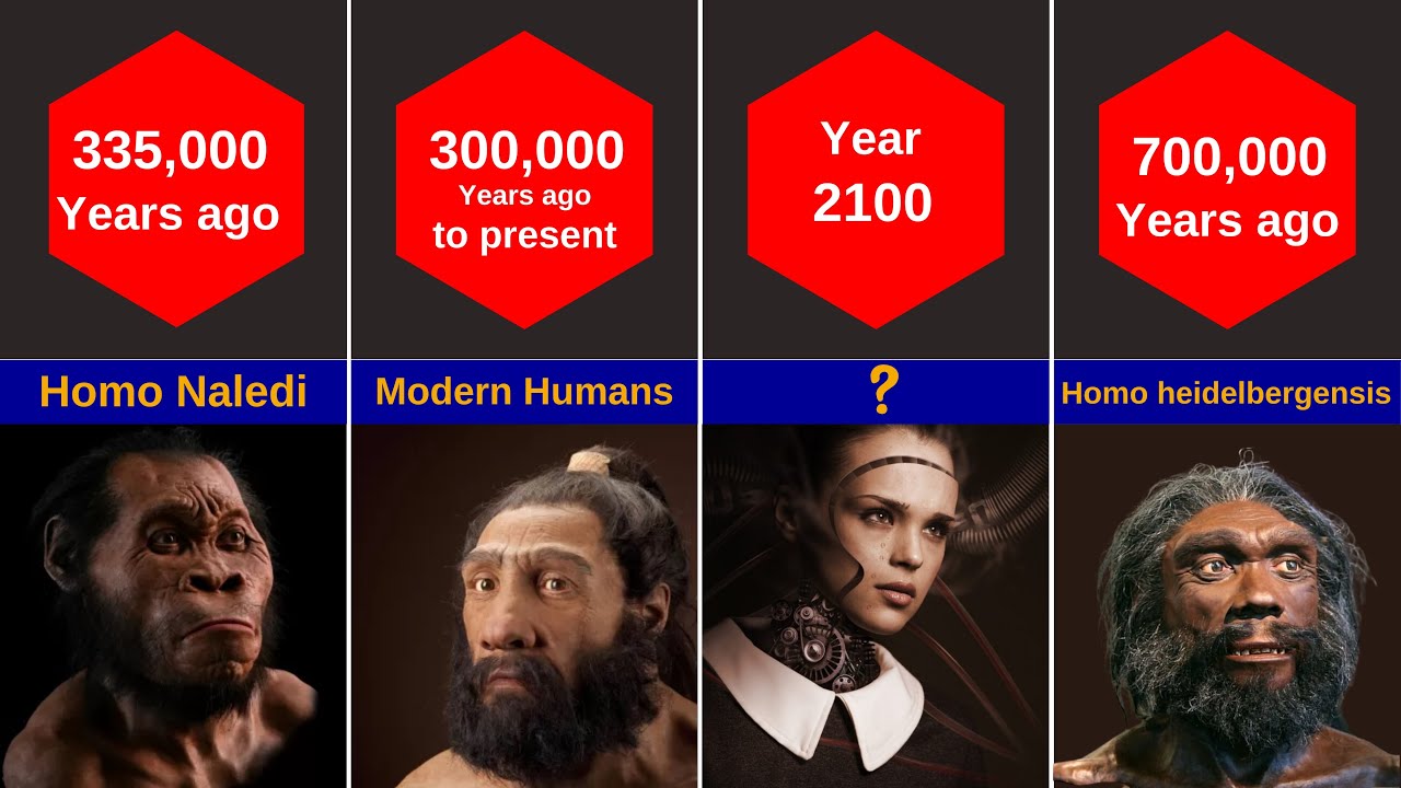 Journey Through Time The Incredible Evolution Of The Human Race YouTube journey-through-time-the-incredible-evolution-of-the-human-race-youtube