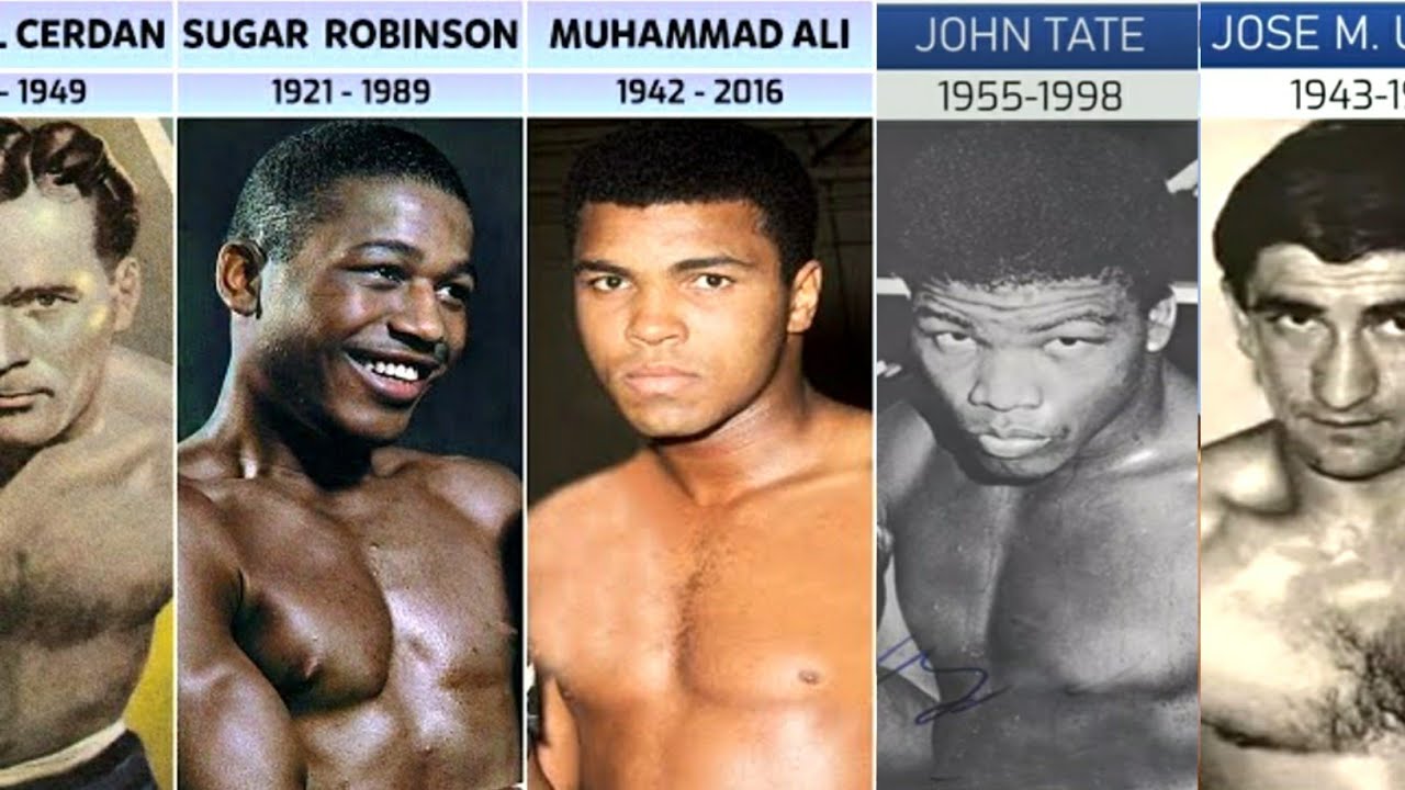 list-the-great-boxer-who-have-died-comparison-video-youtube