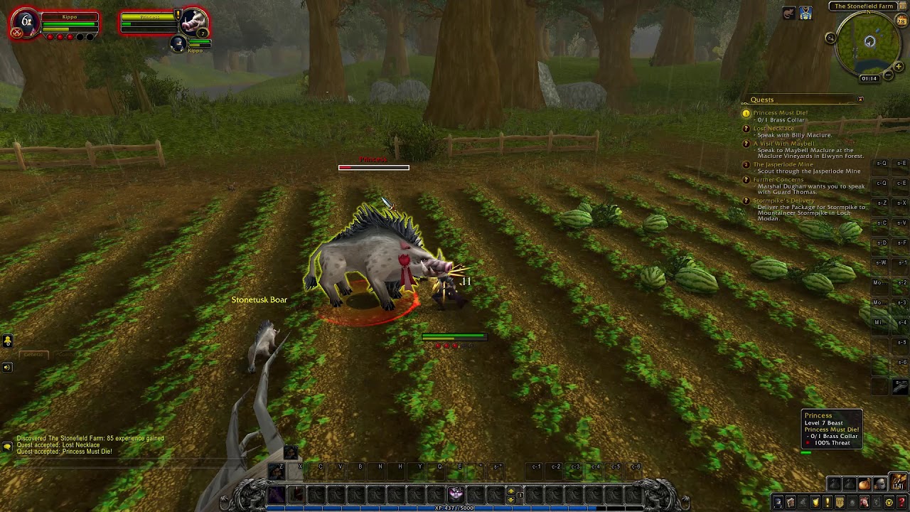 How to do Princess Must Die! quest - World of Warcraft - YouTube