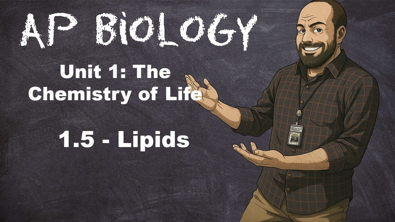 AP Biology – Unit 1 - Topic 1.5 Lipids - YouTube