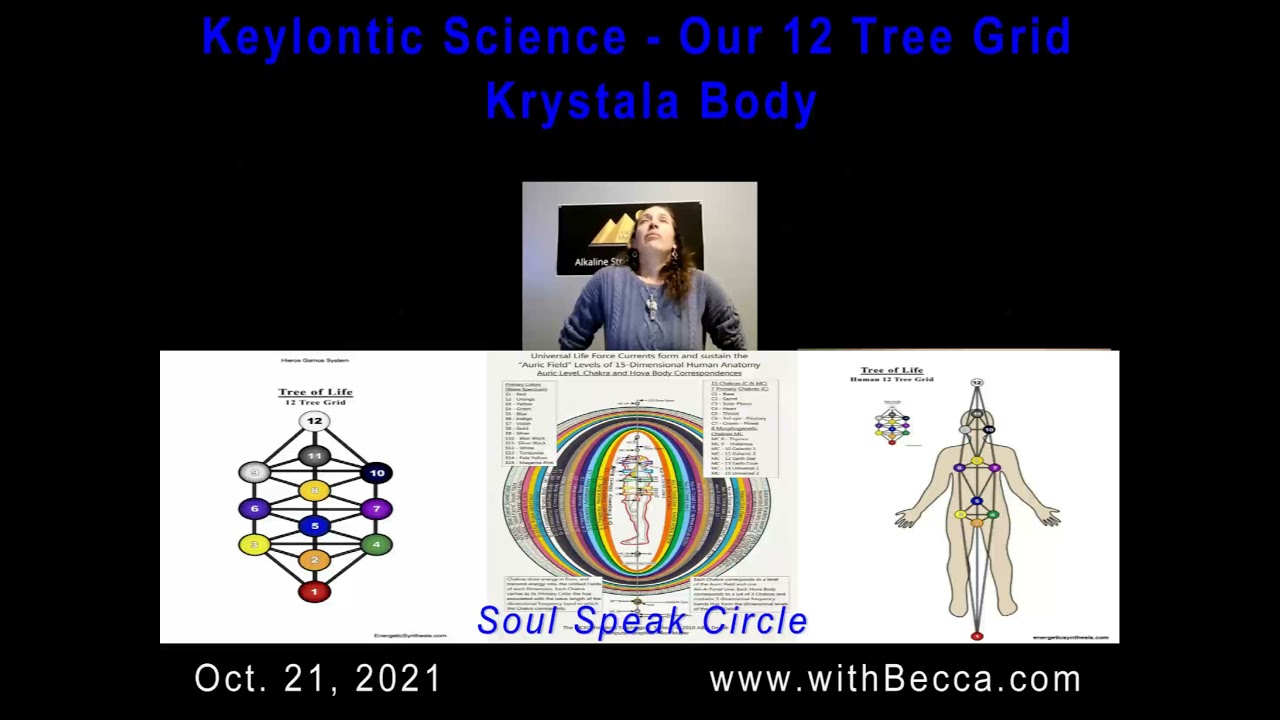 Keylontic Science of our Krystala 12 Tree Grid with Meditation - YouTube